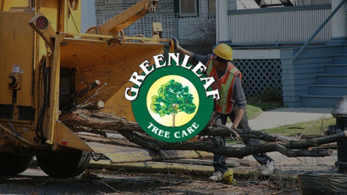 GreenLeaf Services: Emergency Tree Care, Snow Removal, Landscaping & More