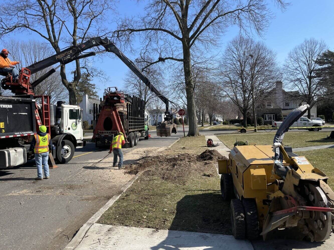 GreenLeaf Visual Showcase: Expertise in Tree Services & Landscaping