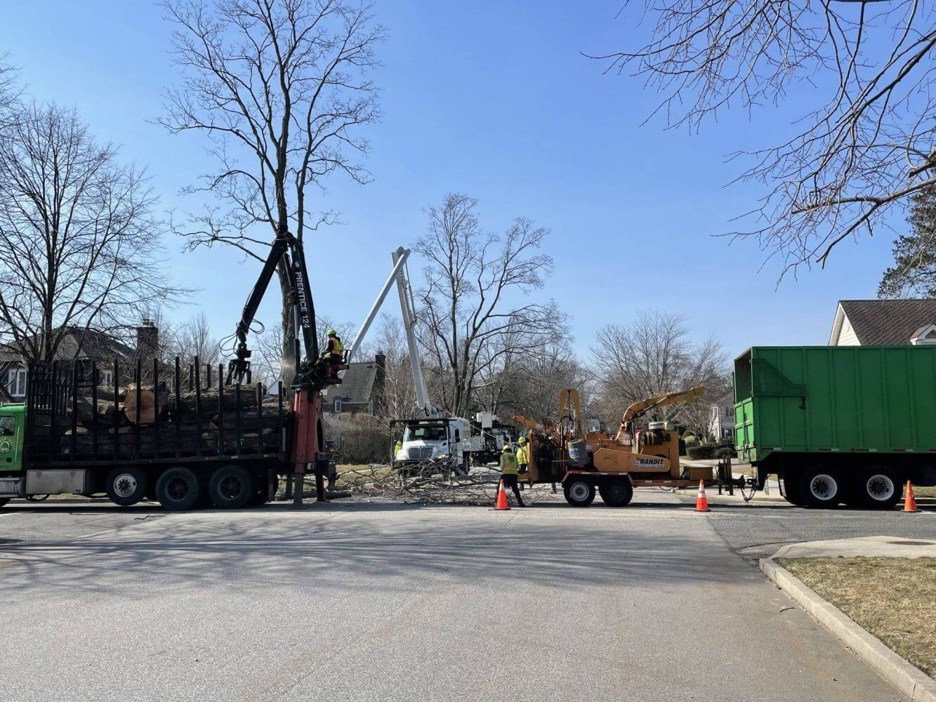 GreenLeaf Visual Showcase: Expertise in Tree Services & Landscaping